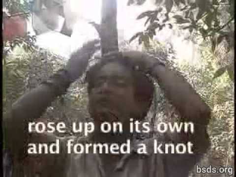 Brother tells about Dharmasangha aka Ram Bahadur Bomjan (Dec 5, 2005 ...